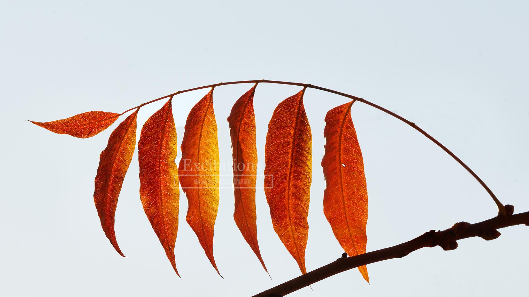 Outback Photography - Outback Photography Outback Photography - Outback Photography